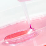 Viscofan BioEngineering - Your partner for biomedical collagen