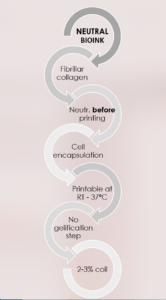 Fibercoll-Flex® bioinks for tissue model bioprinting