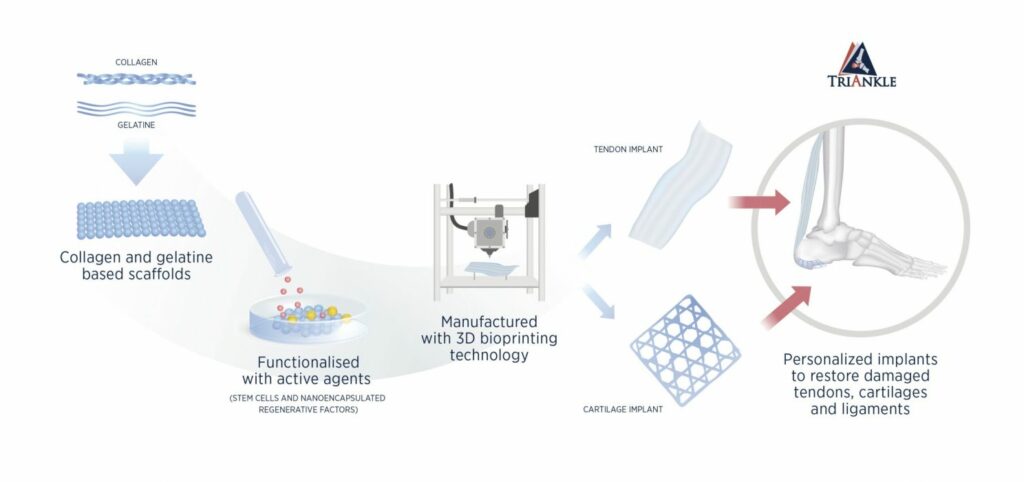 Fibercoll-Flex® bioinks for tissue model bioprinting