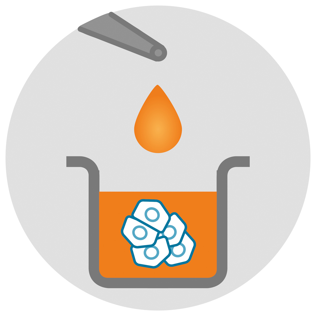 Soluble collagen for cell & tissue culture - Viscofan BioEngineering